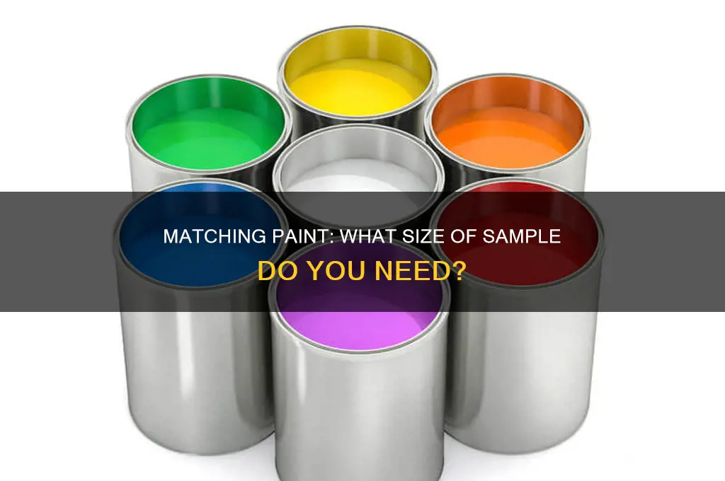 Matching Paint: What Size Of Sample Do You Need? | CyPaint