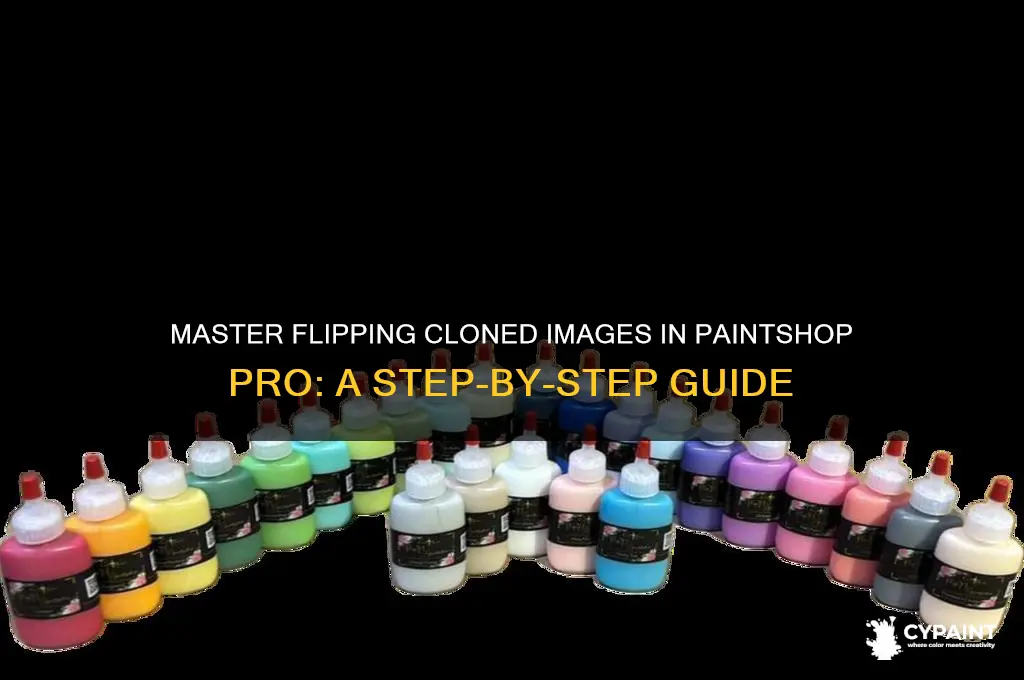 Master Flipping Cloned Images In Paintshop Pro: A Step-By-Step Guide ...