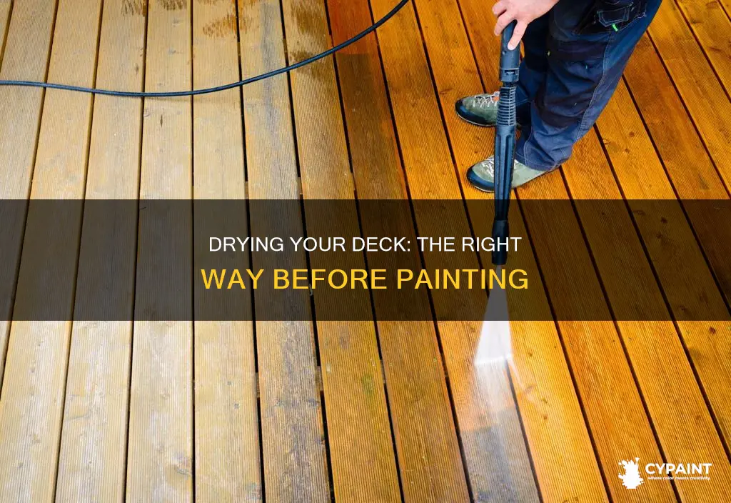 Drying Your Deck: The Right Way Before Painting | CyPaint