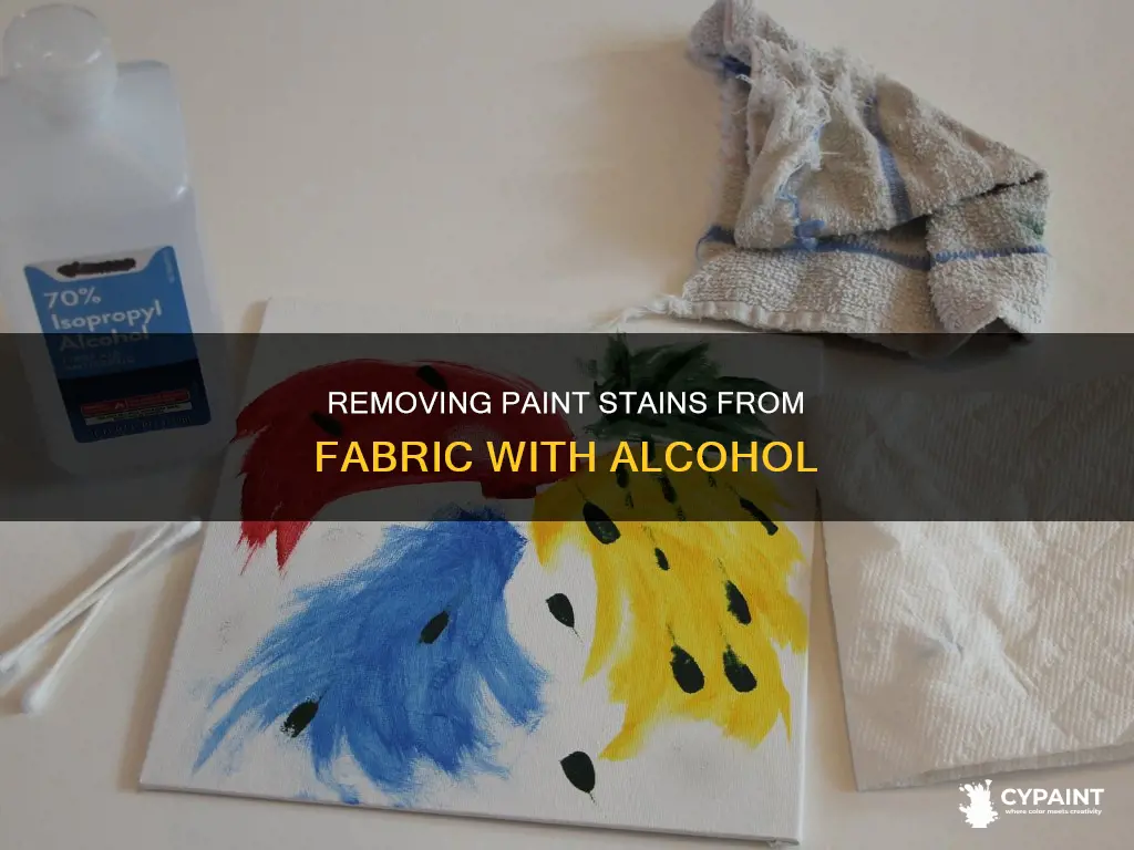 Removing Paint Stains From Fabric With Alcohol | CyPaint