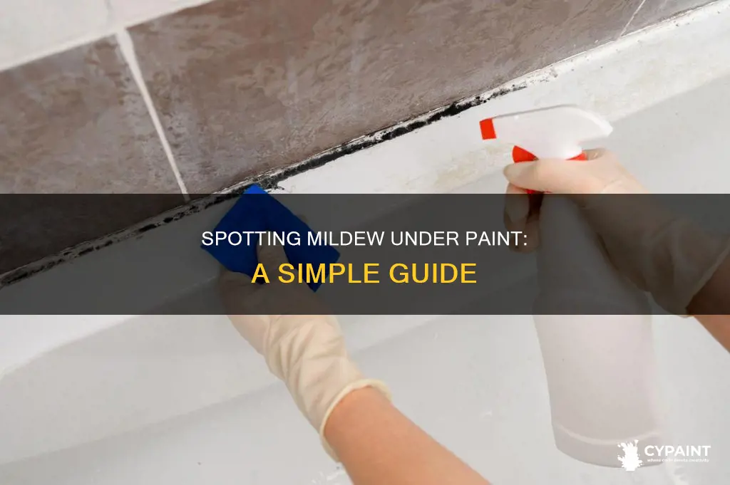 Spotting Mildew Under Paint: A Simple Guide | CyPaint