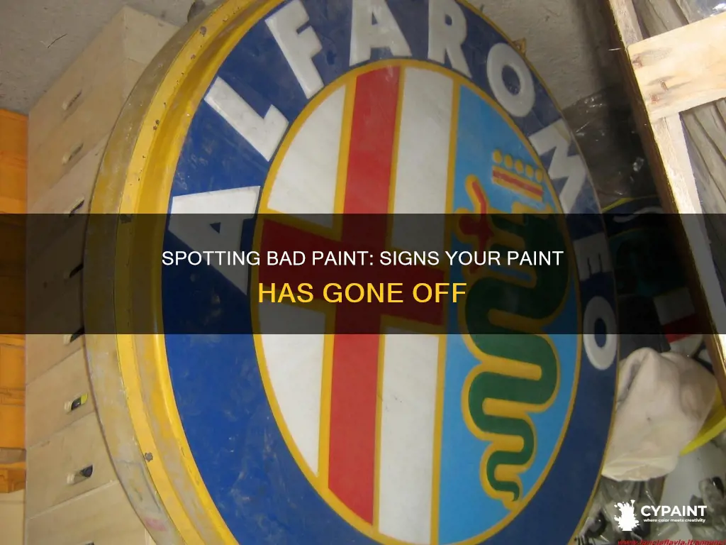 Spotting Bad Paint: Signs Your Paint Has Gone Off | CyPaint