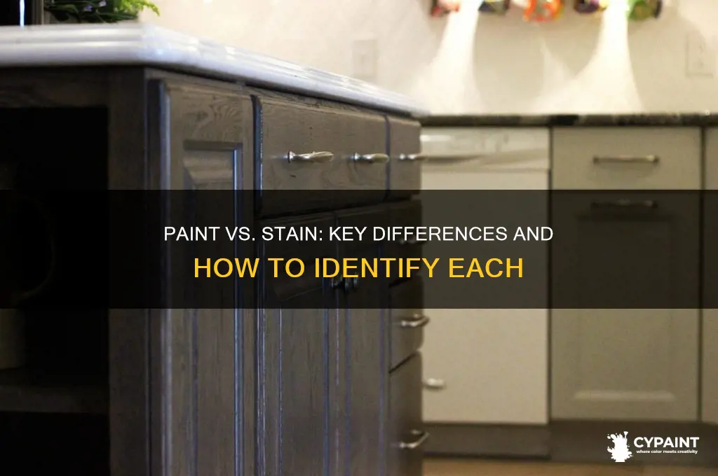 Paint Vs. Stain: Key Differences And How To Identify Each | CyPaint