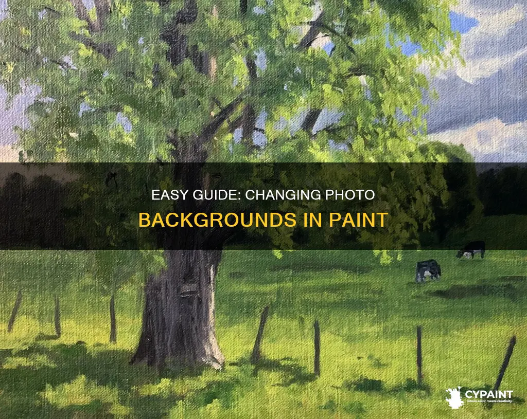 Easy Guide: Changing Photo Backgrounds In Paint | CyPaint