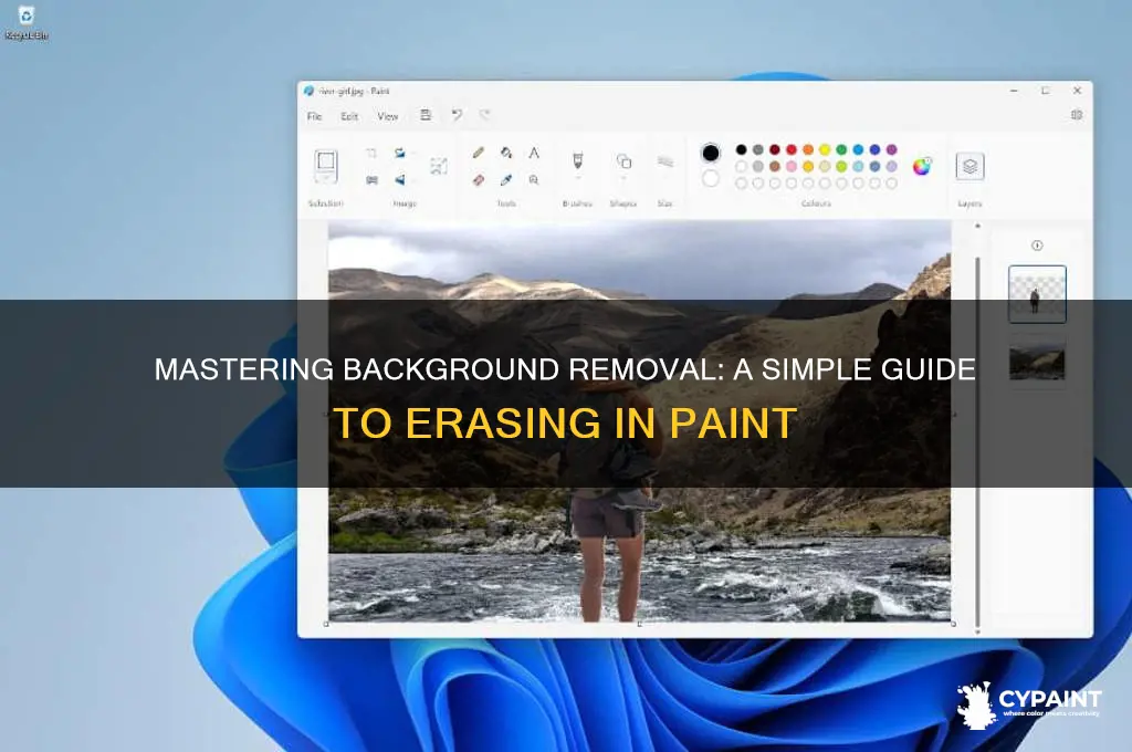 Mastering Background Removal: A Simple Guide To Erasing In Paint | CyPaint