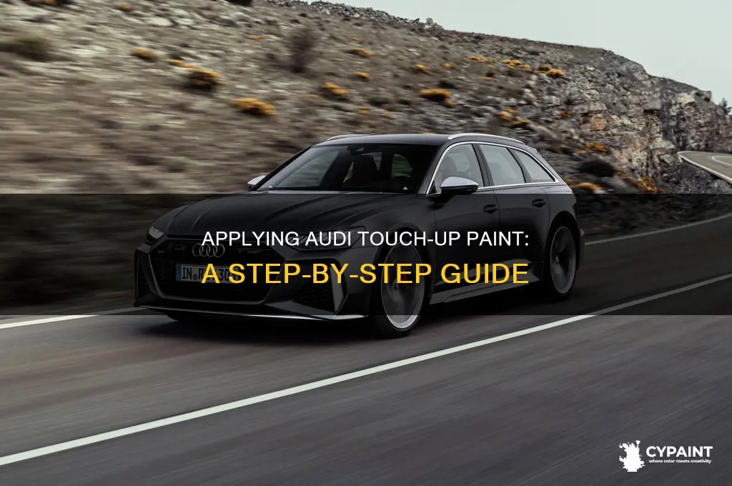 Applying Audi Touch-Up Paint: A Step-By-Step Guide | CyPaint