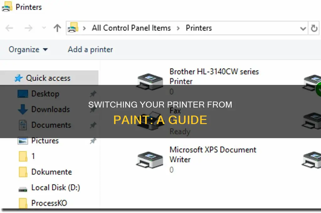 Switching Your Printer From Paint: A Guide | CyPaint
