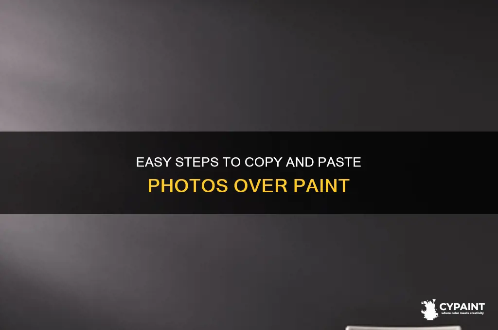 Easy Steps To Copy And Paste Photos Over Paint | CyPaint