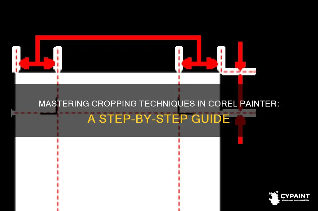 Mastering Cropping Techniques In Corel Painter: A Step-By-Step Guide ...