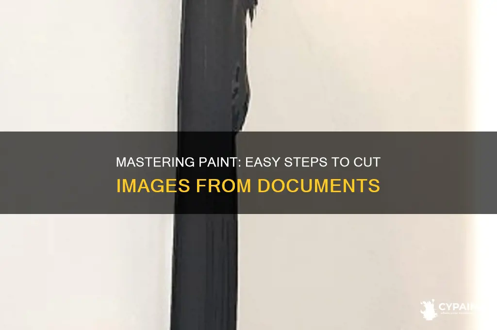 Mastering Paint: Easy Steps To Cut Images From Documents | CyPaint