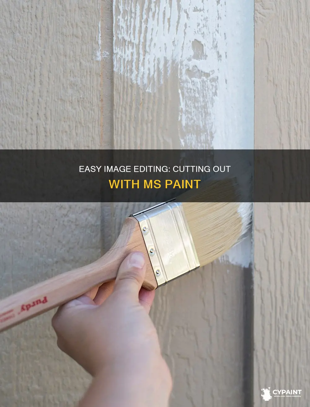 Easy Image Editing: Cutting Out With Ms Paint | CyPaint