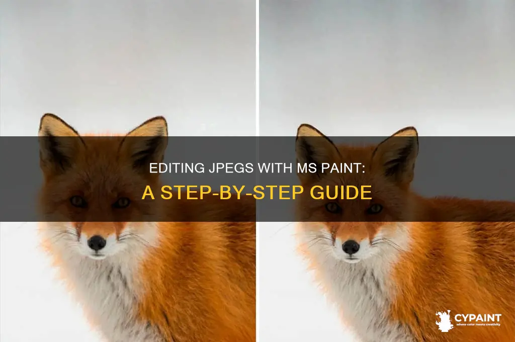 Editing Jpegs With Ms Paint: A Step-By-Step Guide | CyPaint
