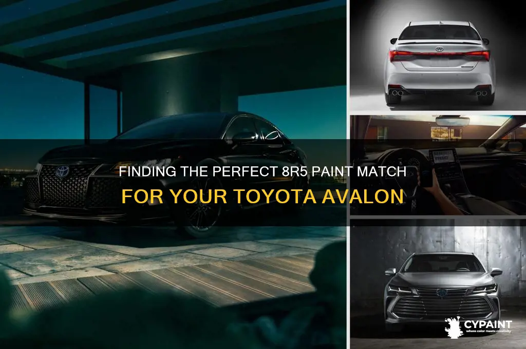 Finding The Perfect 8R5 Paint Match For Your Toyota Avalon | CyPaint
