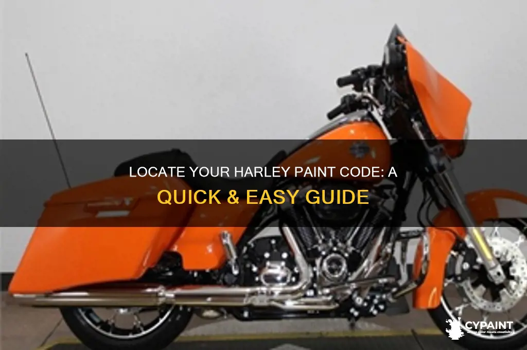 Locate Your Harley Paint Code: A Quick & Easy Guide | CyPaint