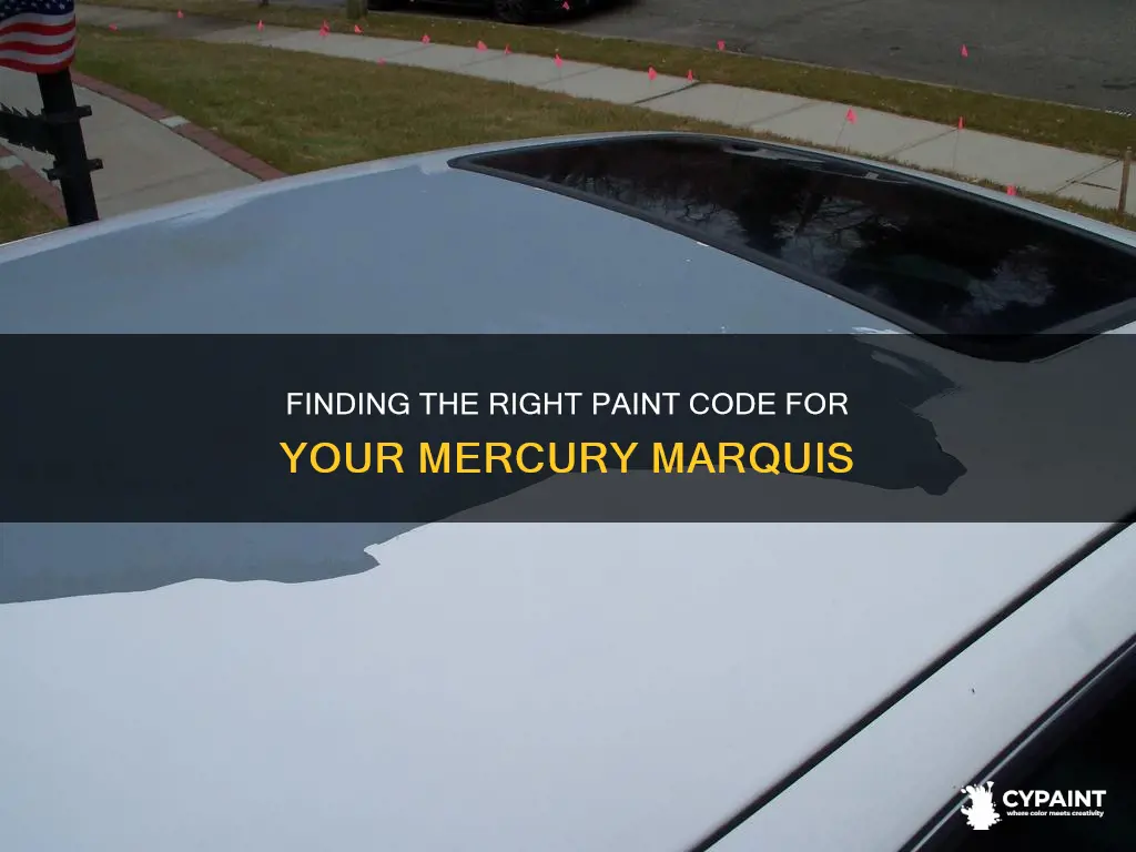 Finding The Right Paint Code For Your Mercury Marquis | CyPaint