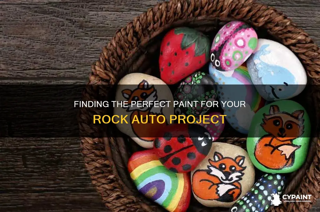 Finding The Perfect Paint For Your Rock Auto Project | CyPaint