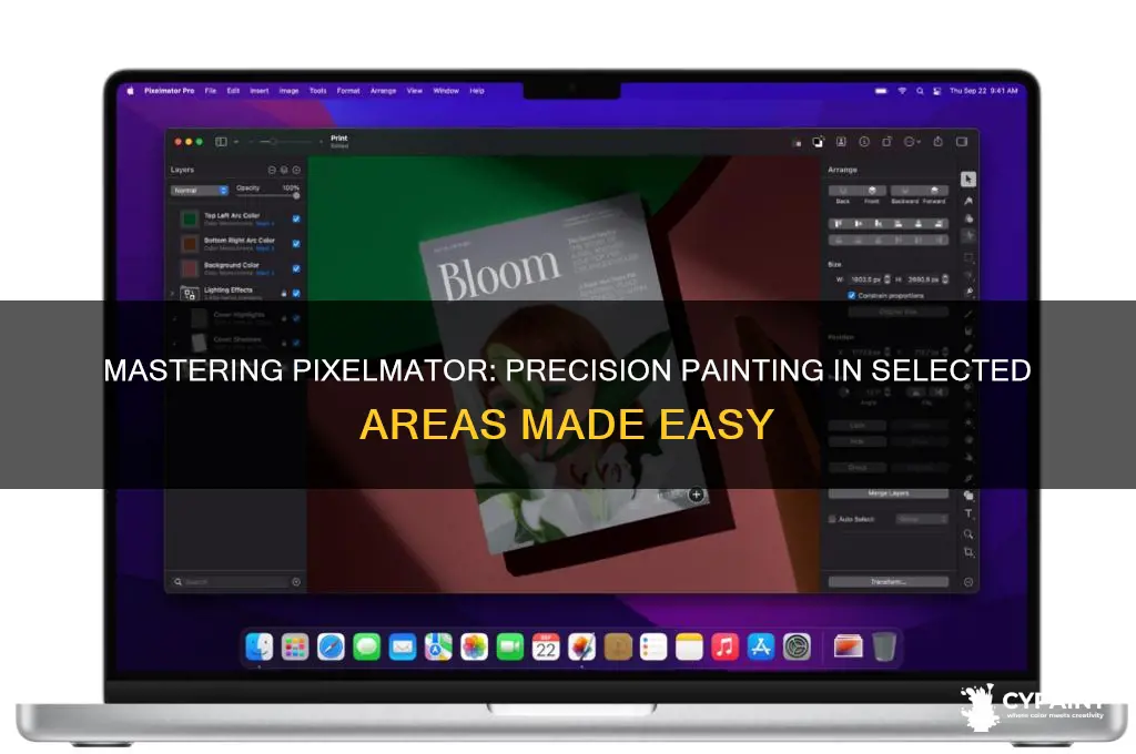 Mastering Pixelmator: Precision Painting In Selected Areas Made Easy ...