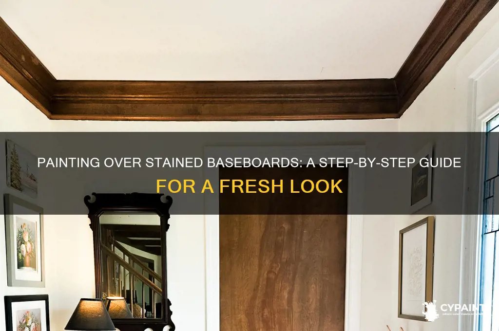 Painting Over Stained Baseboards: A Step-By-Step Guide For A Fresh Look ...