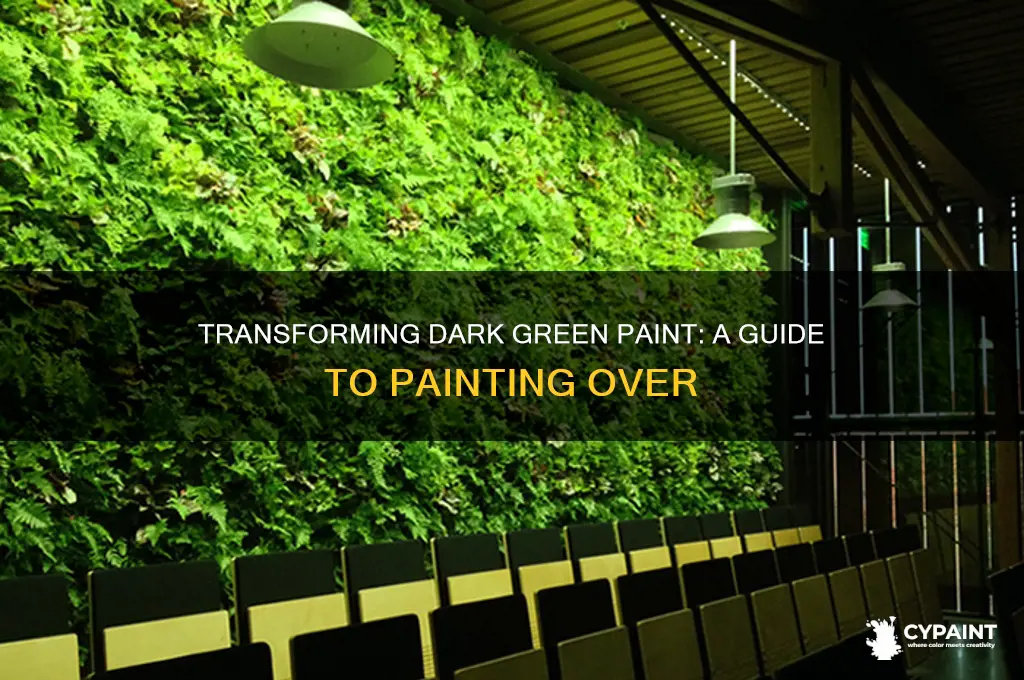 Transforming Dark Green Paint: A Guide To Painting Over | CyPaint