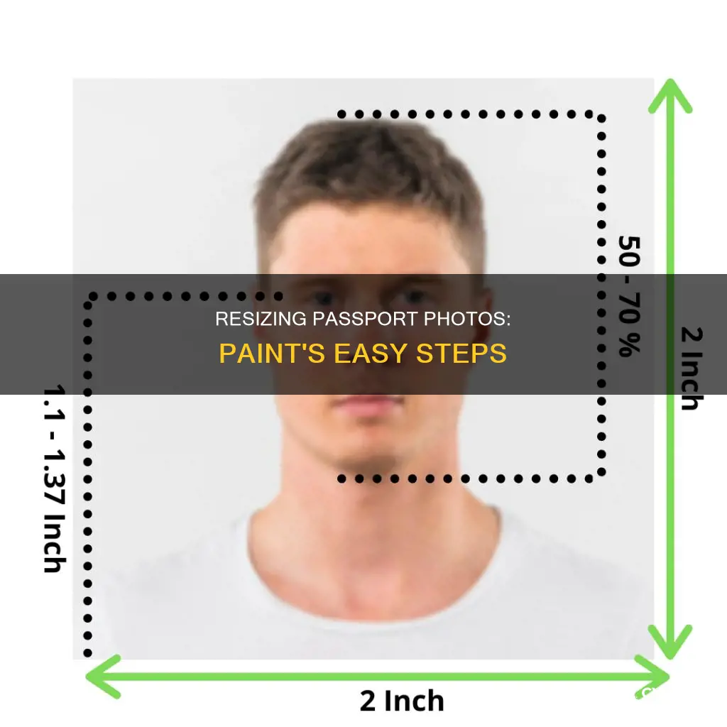 Resizing Passport Photos: Paint's Easy Steps | CyPaint