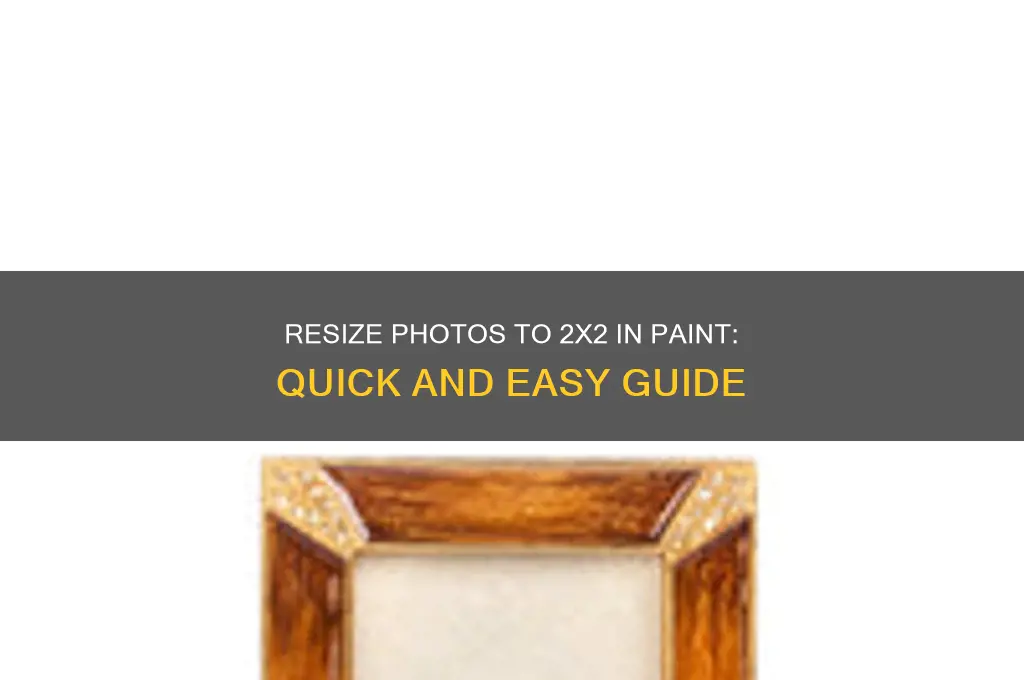 Resize Photos To 2X2 In Paint: Quick And Easy Guide | CyPaint