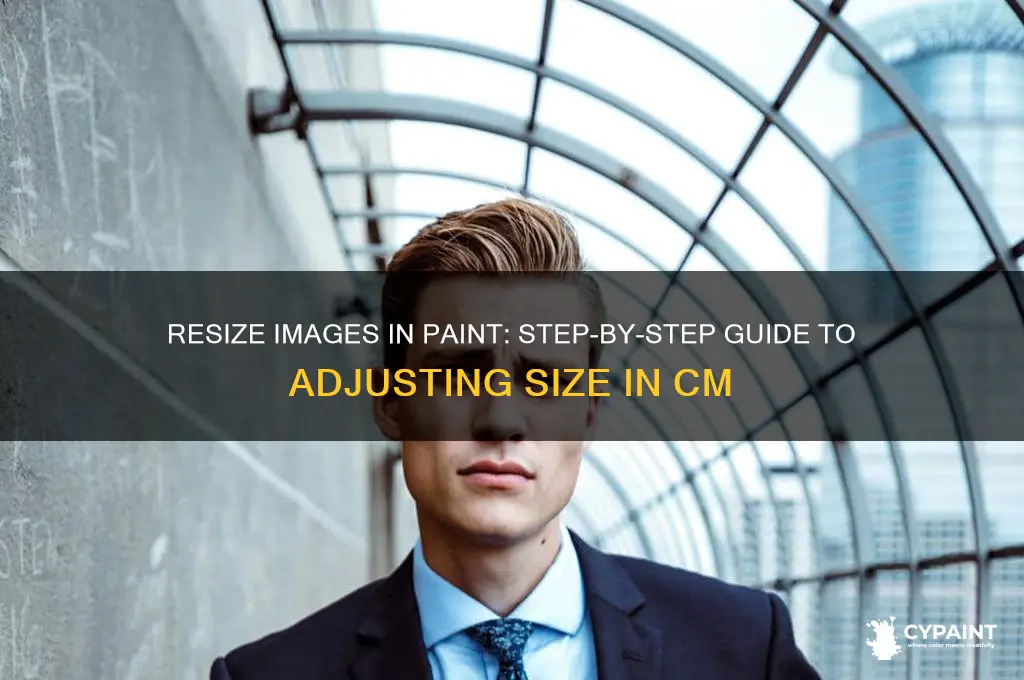 Resize Images In Paint: Step-By-Step Guide To Adjusting Size In Cm ...