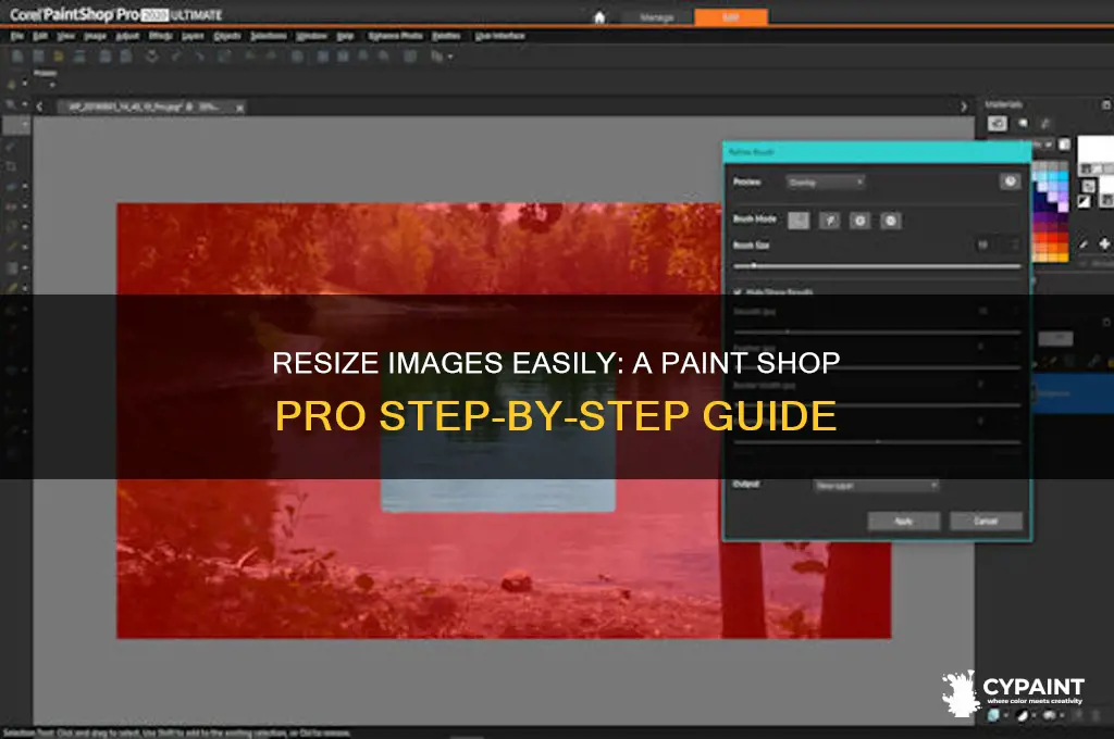 Resize Images Easily: A Paint Shop Pro Step-By-Step Guide | CyPaint