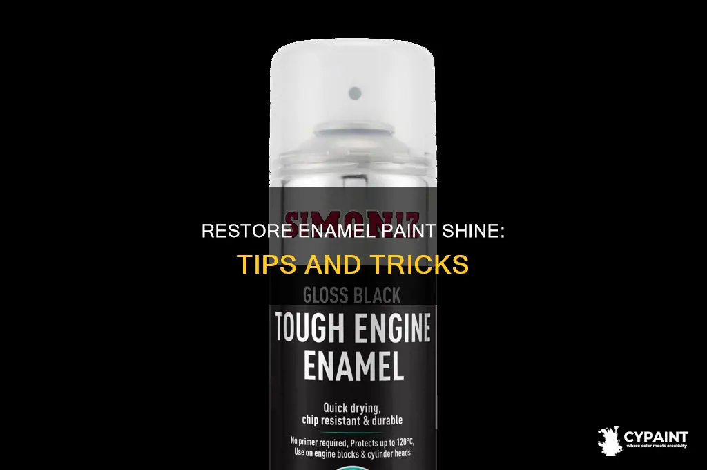Restore Enamel Paint Shine: Tips And Tricks | CyPaint