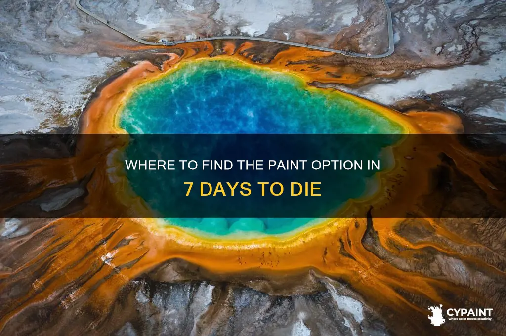 Where To Find The Paint Option In 7 Days To Die | CyPaint