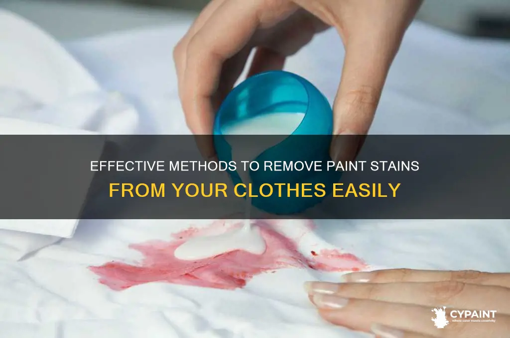 Effective Methods To Remove Paint Stains From Your Clothes Easily | CyPaint