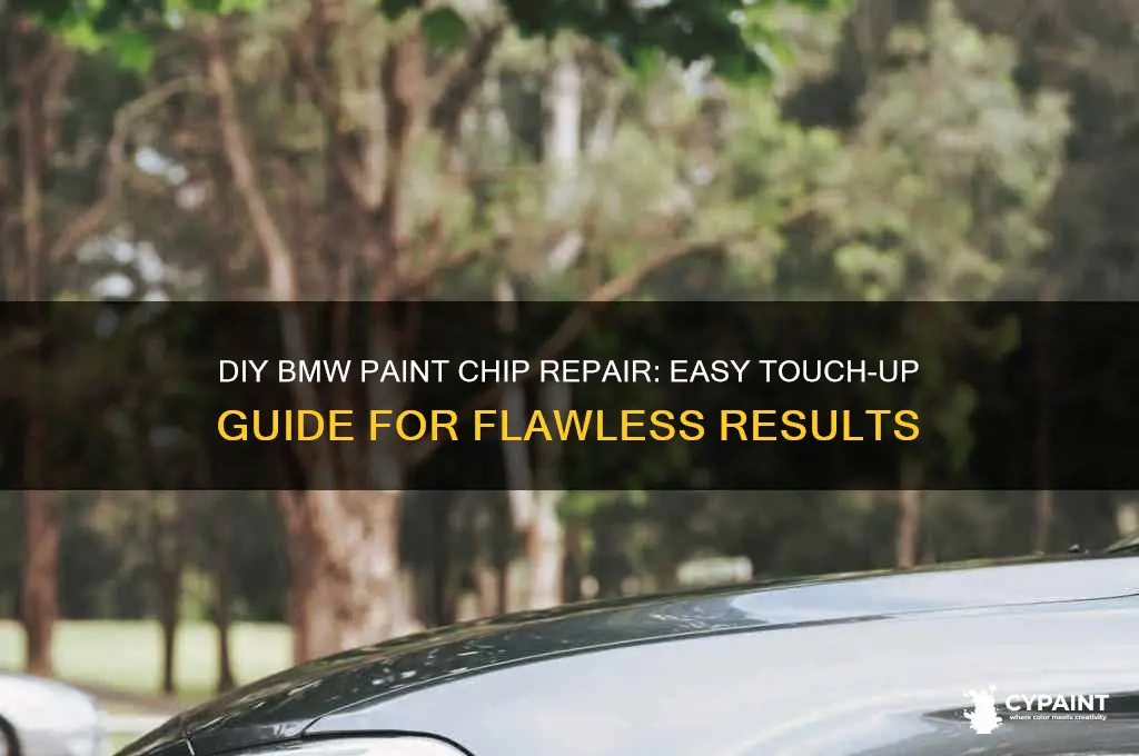 Diy Bmw Paint Chip Repair: Easy Touch-Up Guide For Flawless Results ...