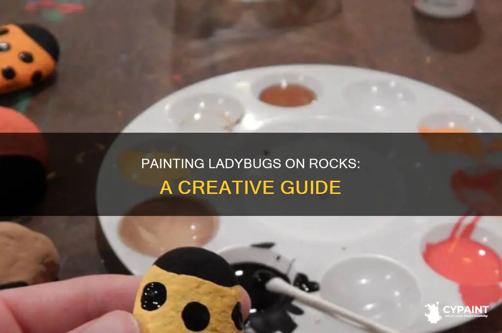 Painting Ladybugs On Rocks: A Creative Guide | CyPaint
