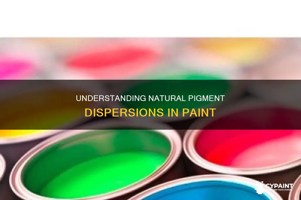 Understanding Natural Pigment Dispersions In Paint | CyPaint