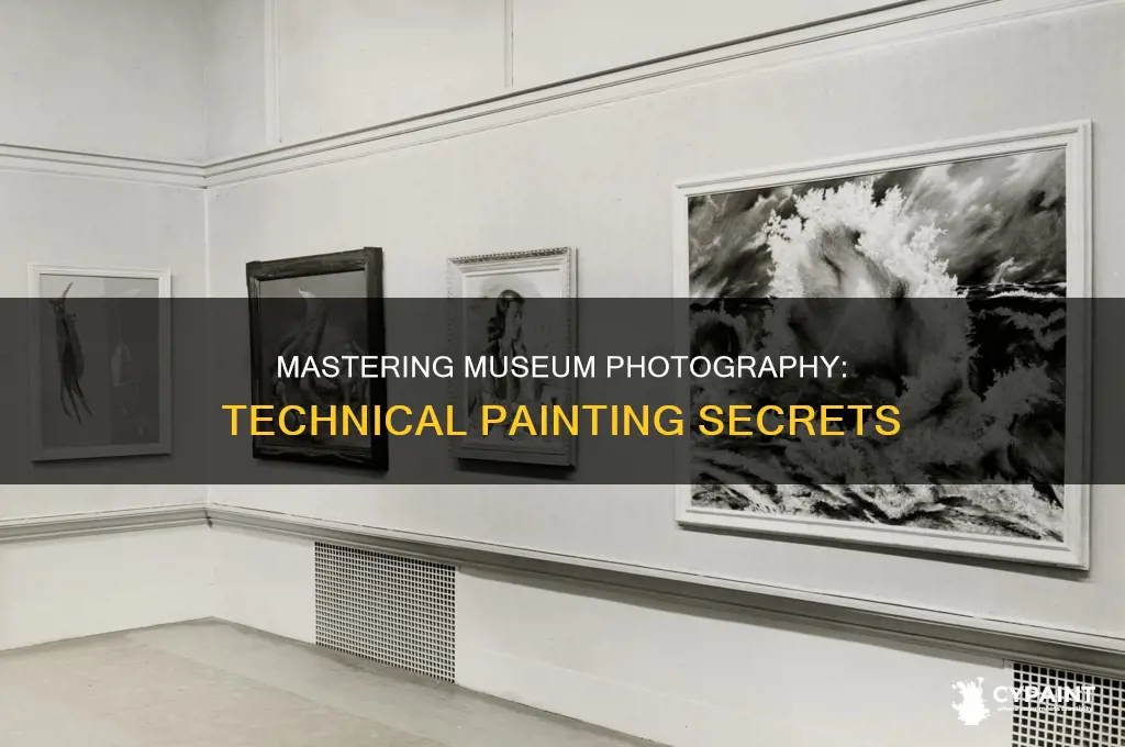 Mastering Museum Photography: Technical Painting Secrets | CyPaint