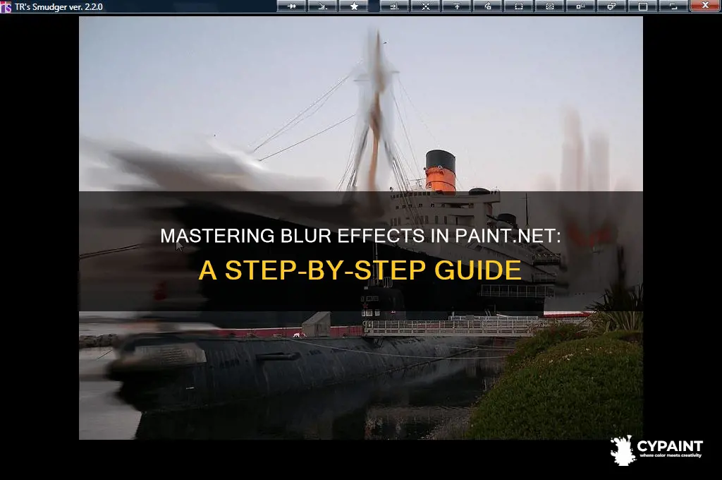 Mastering Blur Effects In Paint.Net: A Step-By-Step Guide | CyPaint