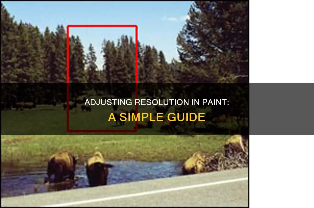Adjusting Resolution In Paint: A Simple Guide | CyPaint