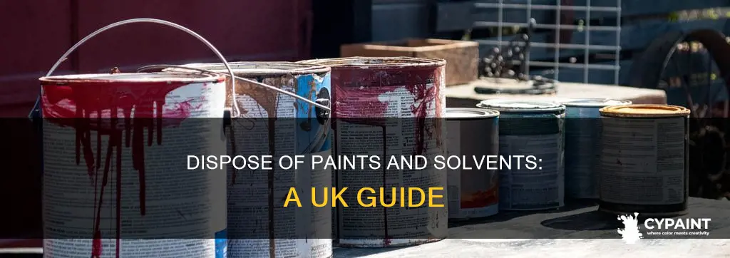 Dispose Of Paints And Solvents: A Uk Guide | CyPaint