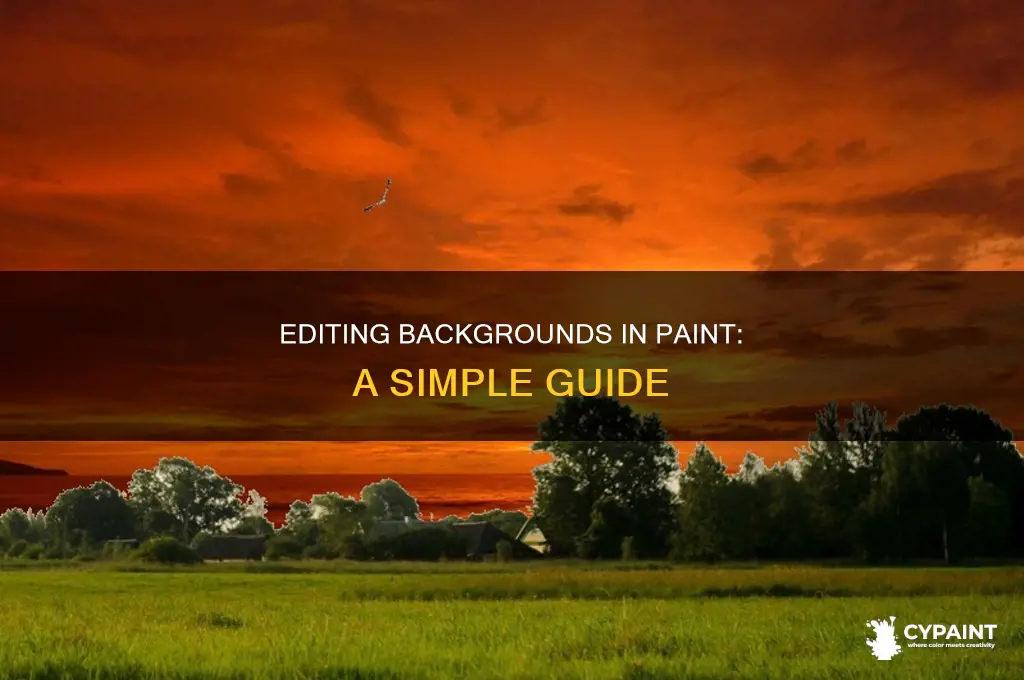 Editing Backgrounds In Paint: A Simple Guide | CyPaint