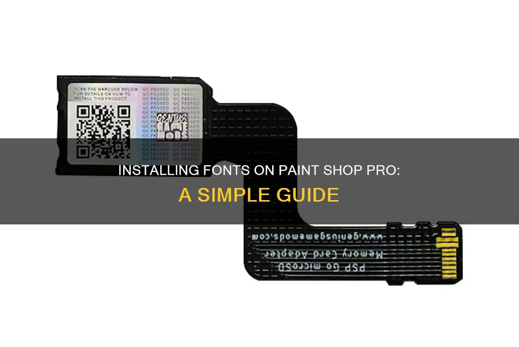 Installing Fonts On Paint Shop Pro: A Simple Guide | CyPaint