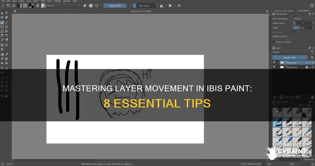 Mastering Layer Movement In Ibis Paint: 8 Essential Tips | CyPaint