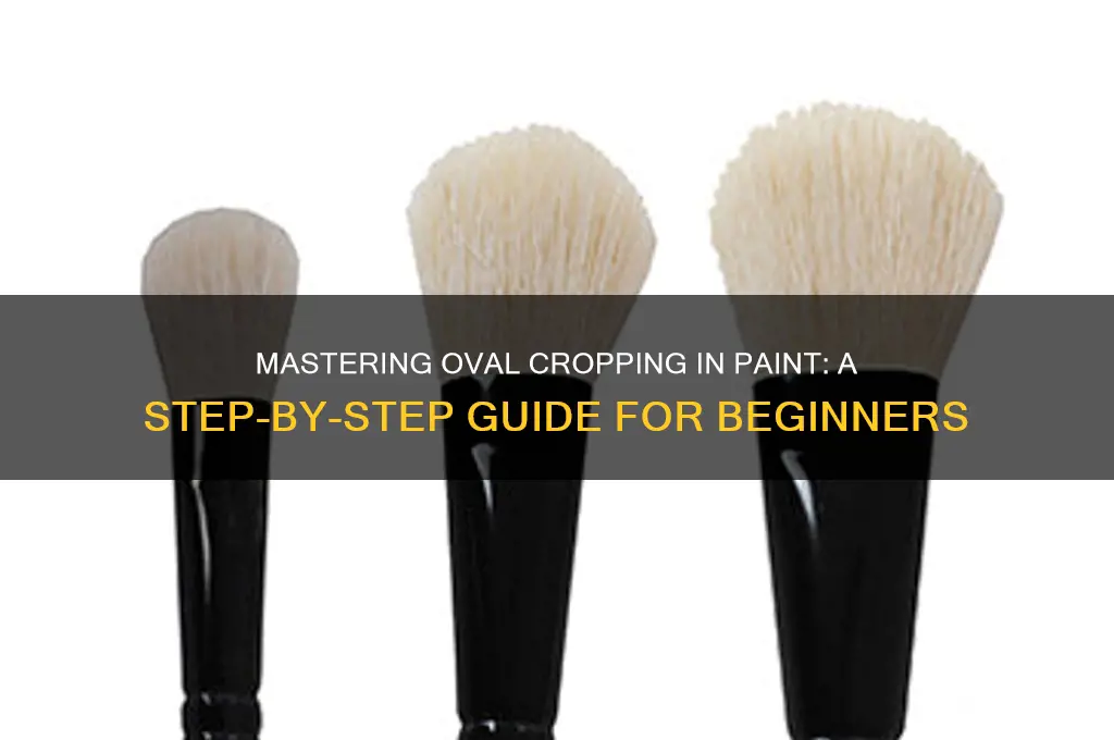 Mastering Oval Cropping In Paint: A Step-By-Step Guide For Beginners ...
