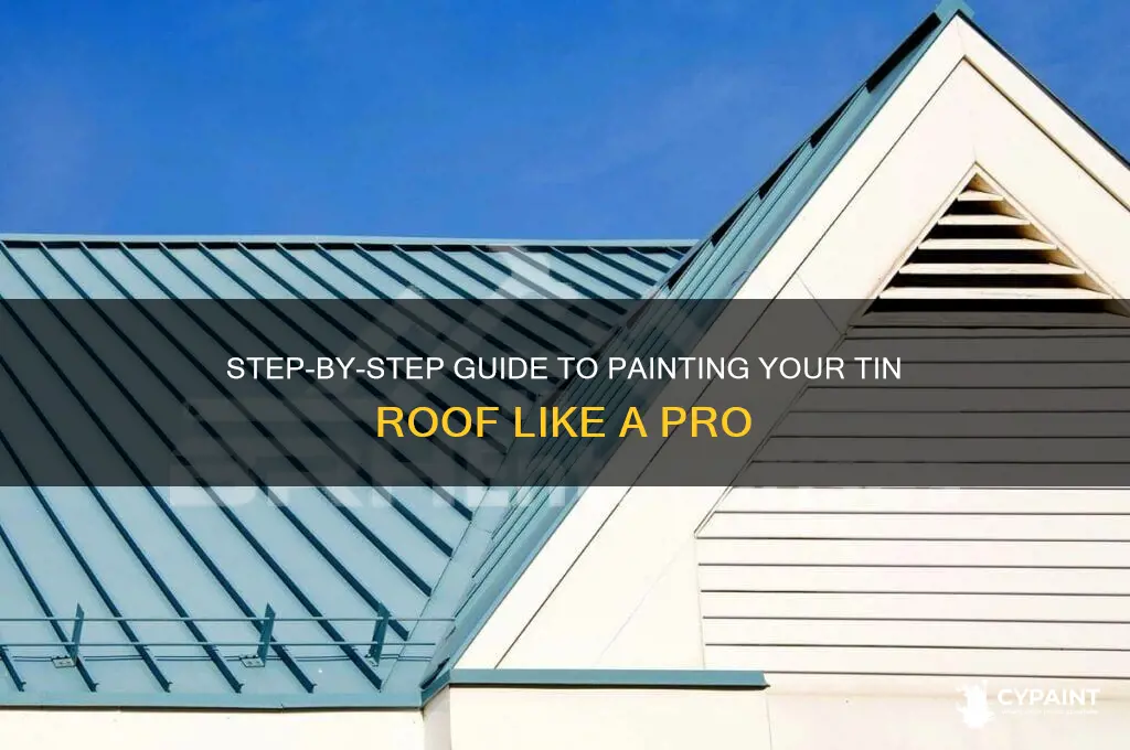 Step-By-Step Guide To Painting Your Tin Roof Like A Pro | CyPaint