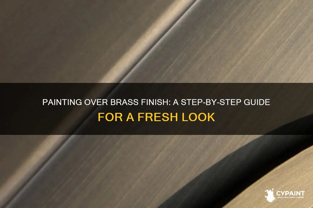 Painting Over Brass Finish: A Step-By-Step Guide For A Fresh Look | CyPaint