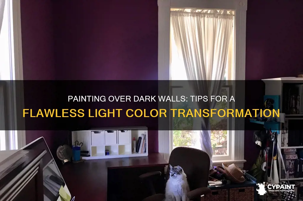 Painting Over Dark Walls: Tips For A Flawless Light Color ...