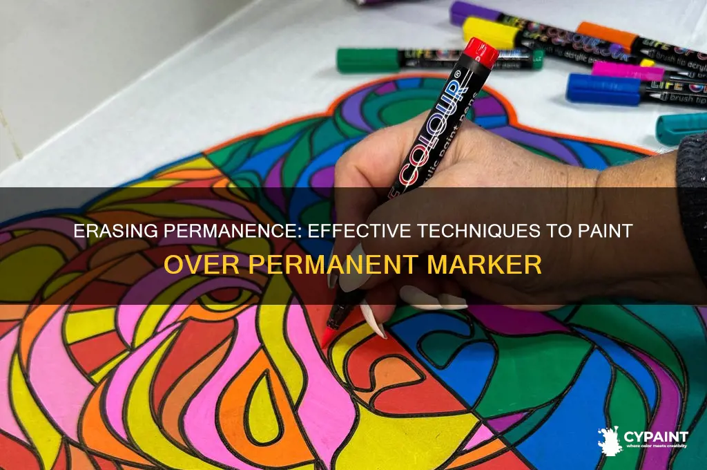 Erasing Permanence: Effective Techniques To Paint Over Permanent Marker ...