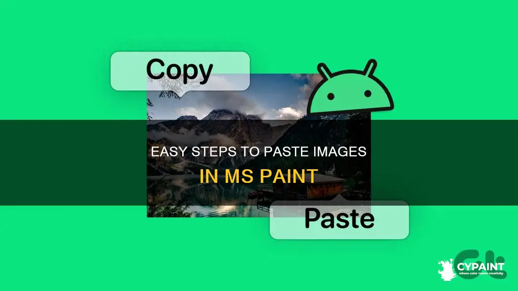 Easy Steps To Paste Images In Ms Paint | CyPaint