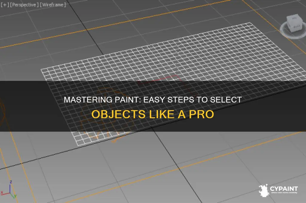 Mastering Paint: Easy Steps To Select Objects Like A Pro | CyPaint