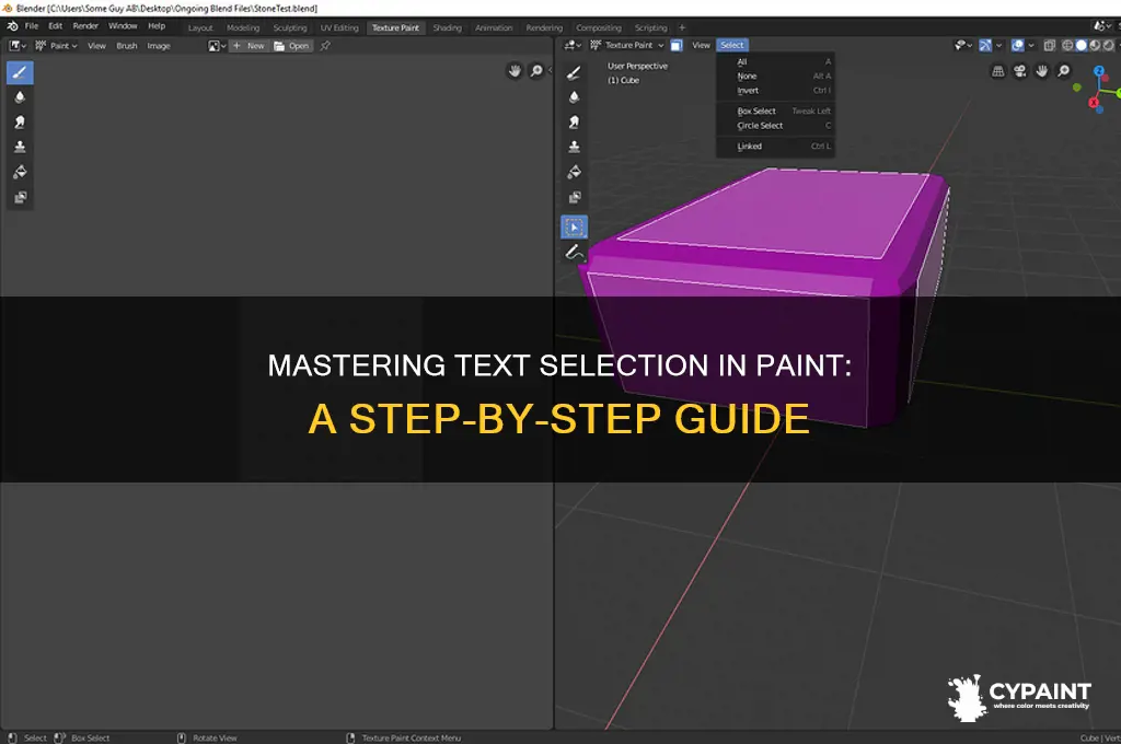 Mastering Text Selection In Paint: A Step-By-Step Guide | CyPaint