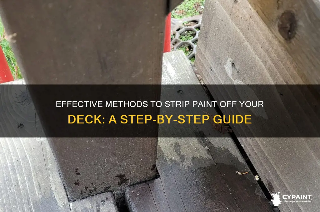 Effective Methods To Strip Paint Off Your Deck: A Step-By-Step Guide ...