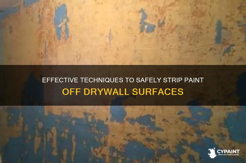 Effective Techniques To Safely Strip Paint Off Drywall Surfaces | CyPaint